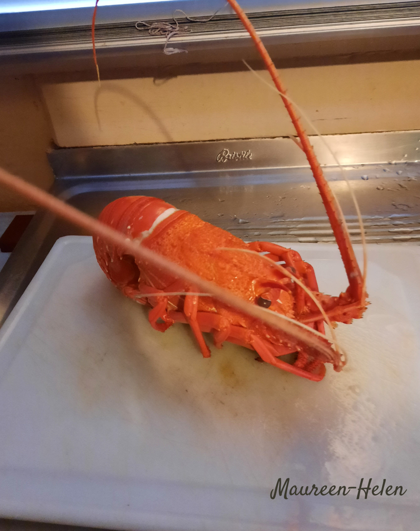 Point Peron then and now - How to be eighty 2