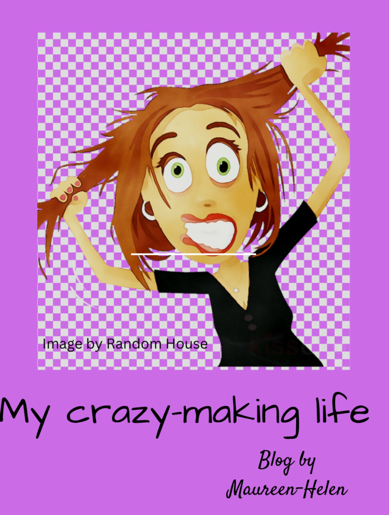 Crazy-making - why the world seems mad - How to be eighty 2